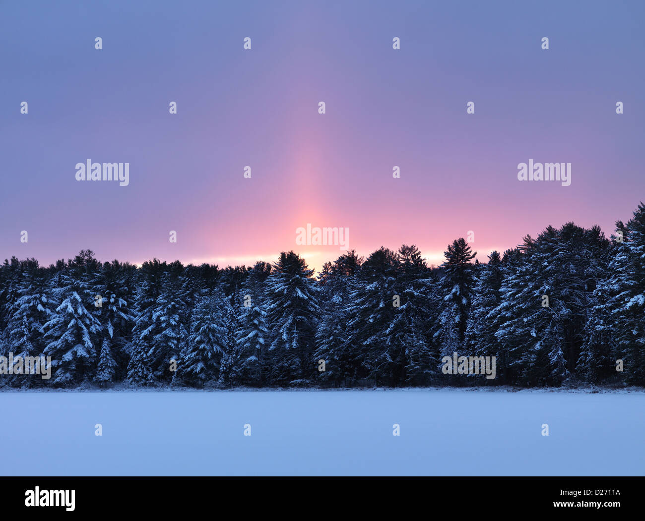 Glowing red sunset behind snow covered trees. Atmospheric landscape ...