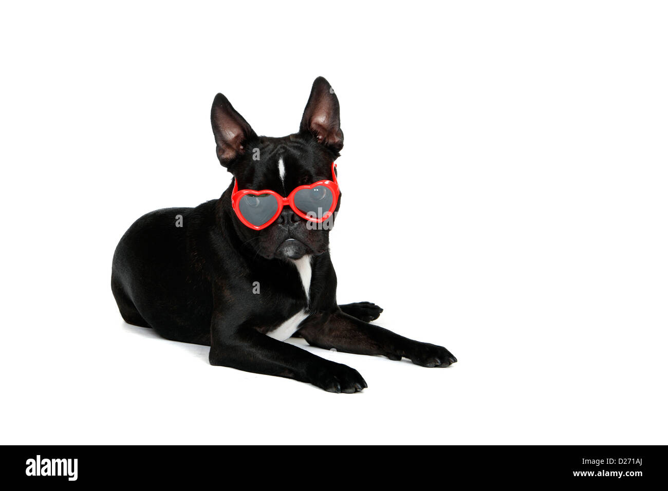 Froston hi-res stock photography and images - Alamy