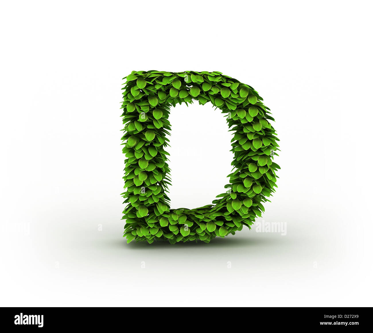 Letter d, alphabet of green leaves isolated on white background ...