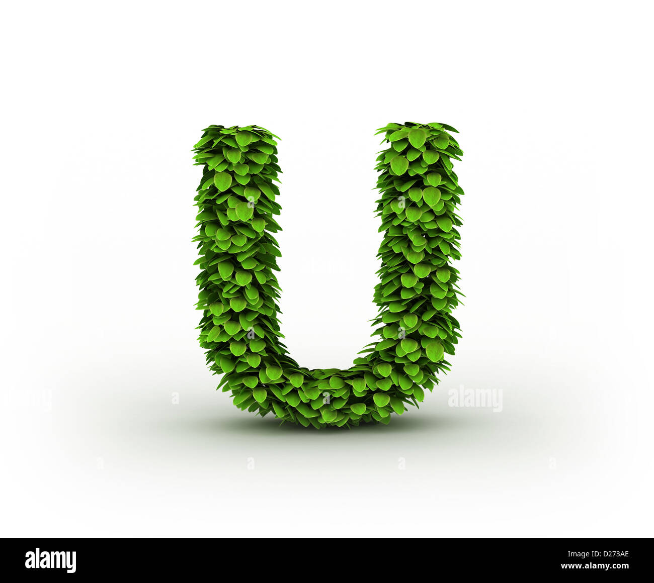 Letter U, alphabet of green leaves isolated on white background ...