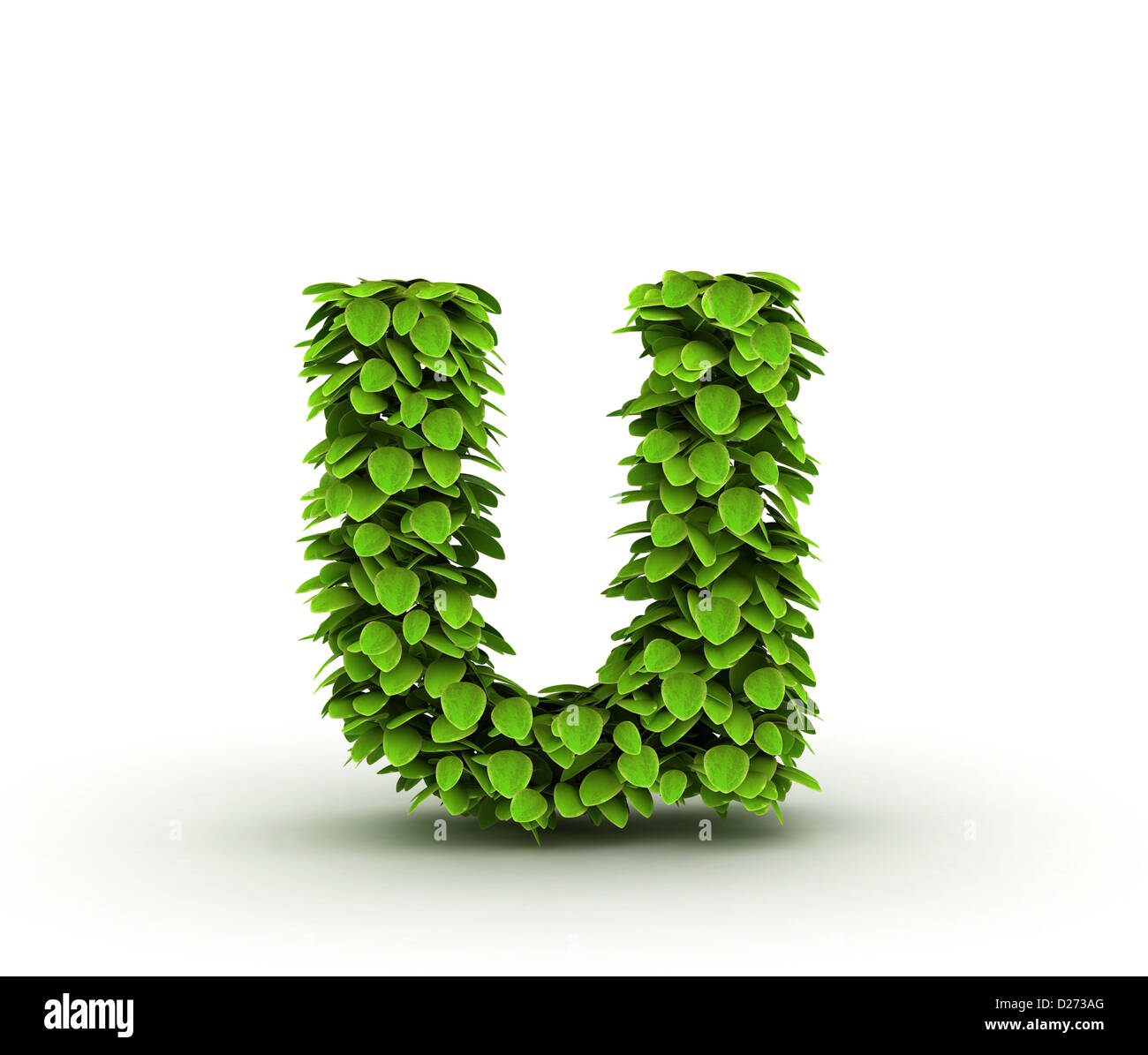 Letter u, alphabet of green leaves isolated on white background ...