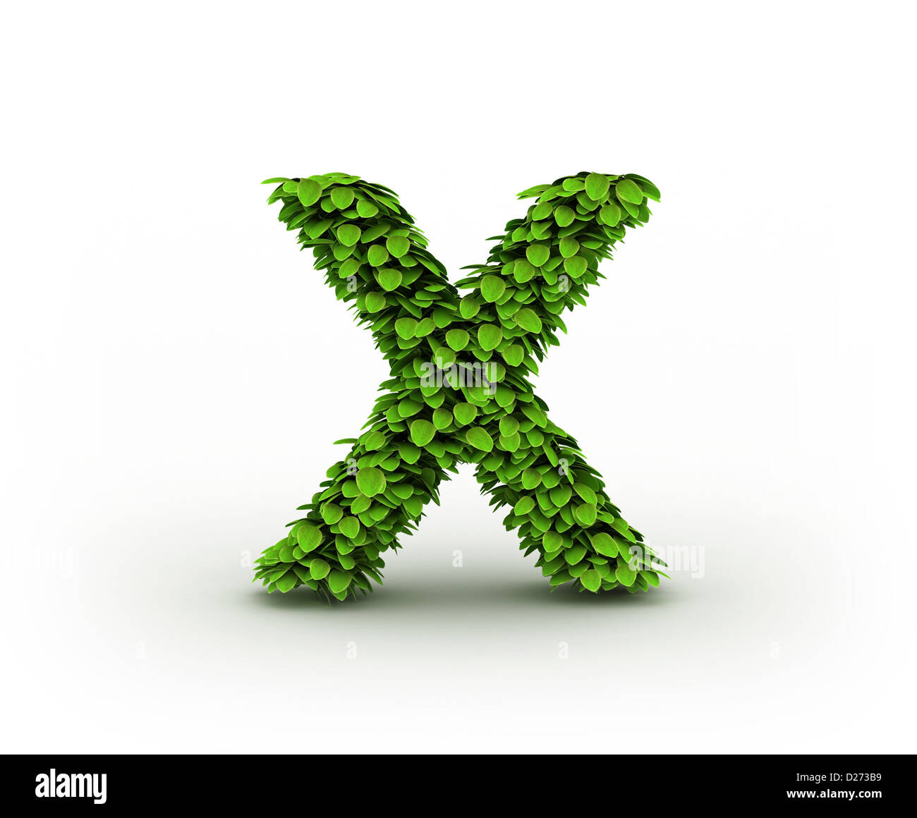 Letter X, alphabet of green leaves isolated on white background ...