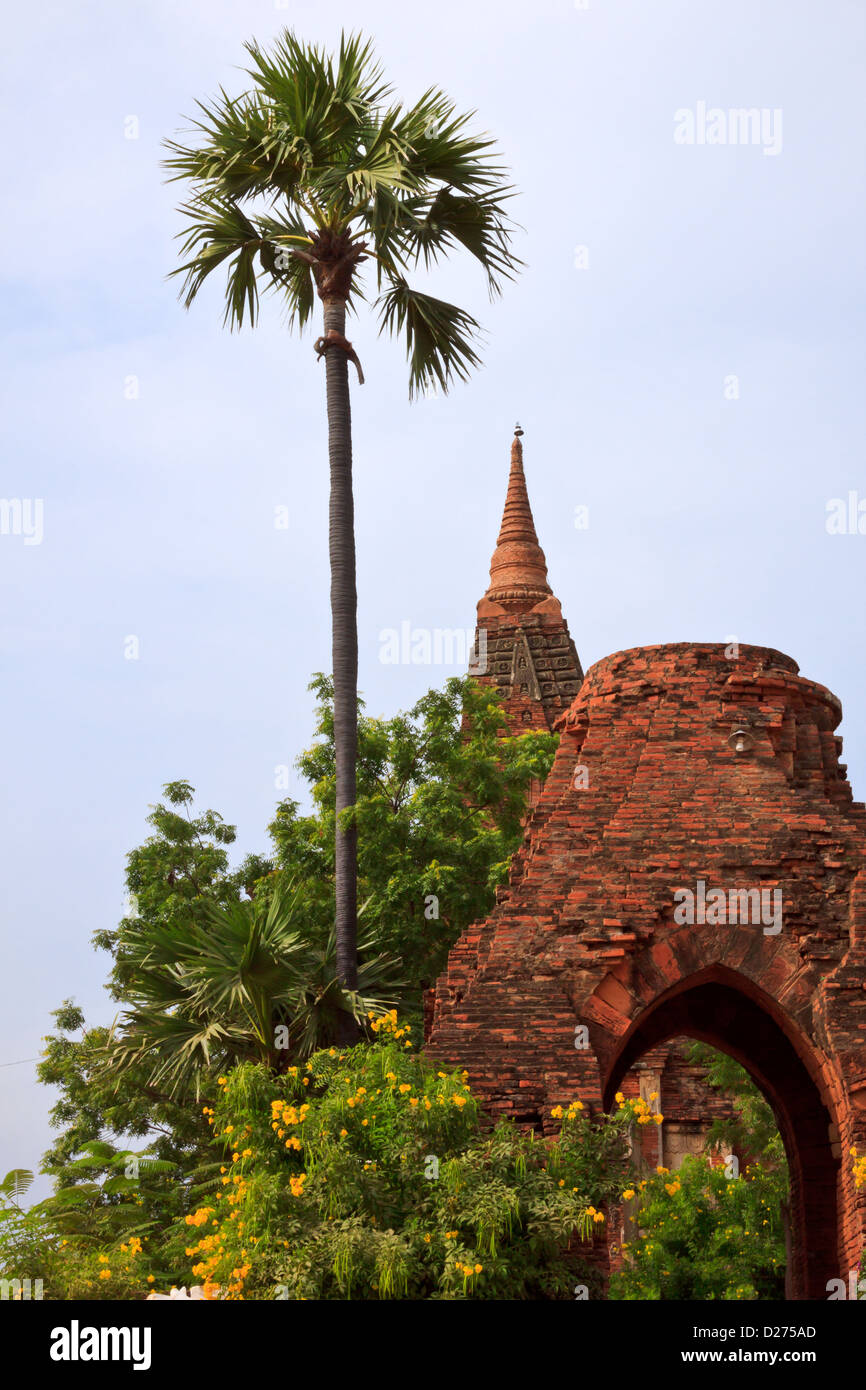 Gyi hi-res stock photography and images - Alamy