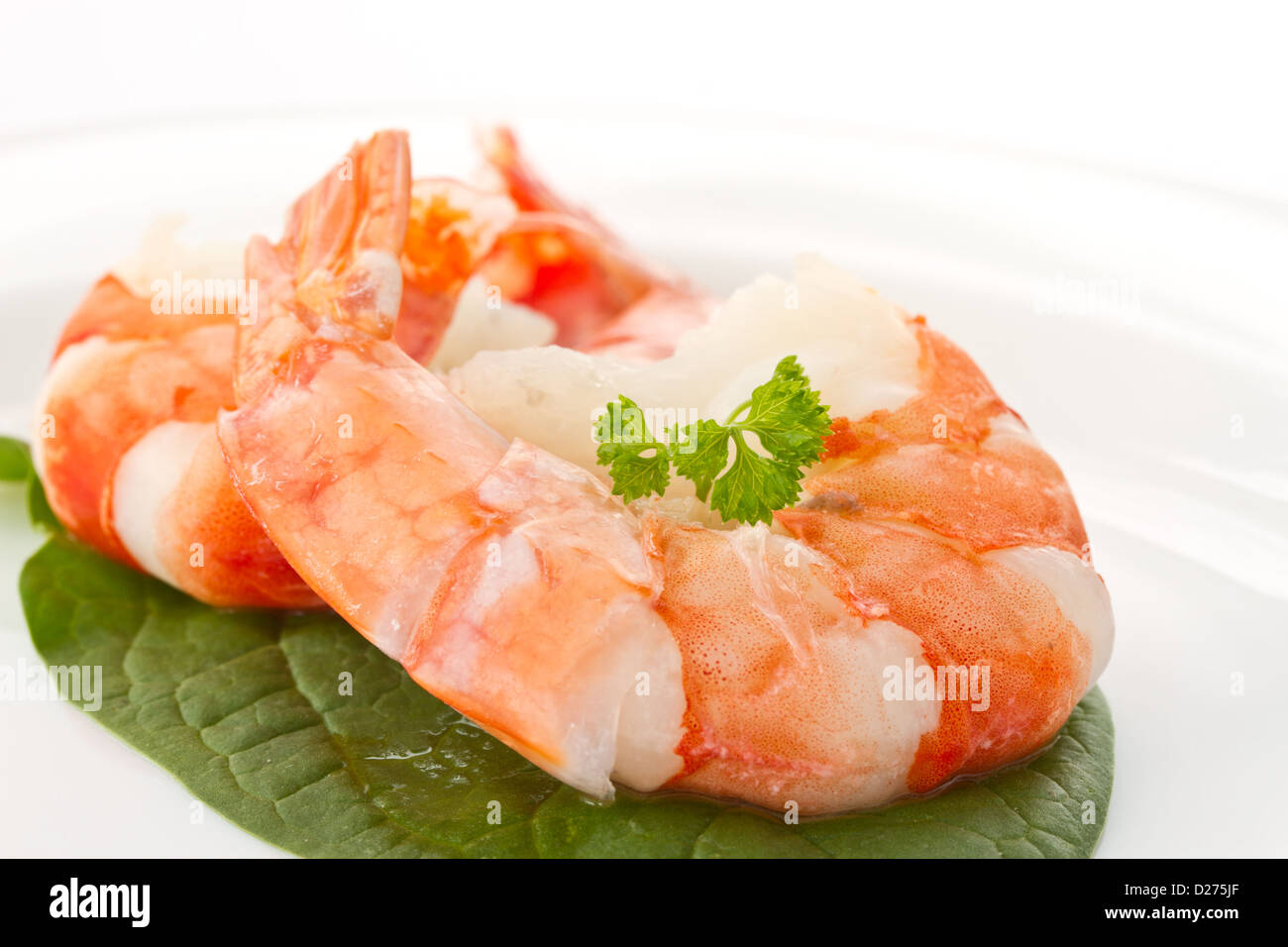 large cooked shrimp on a plate on a white background Stock Photo - Alamy
