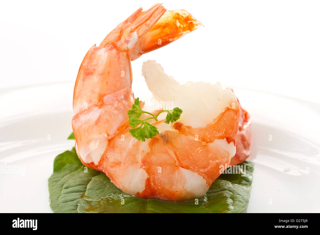 large cooked shrimp on a plate on a white background Stock Photo - Alamy
