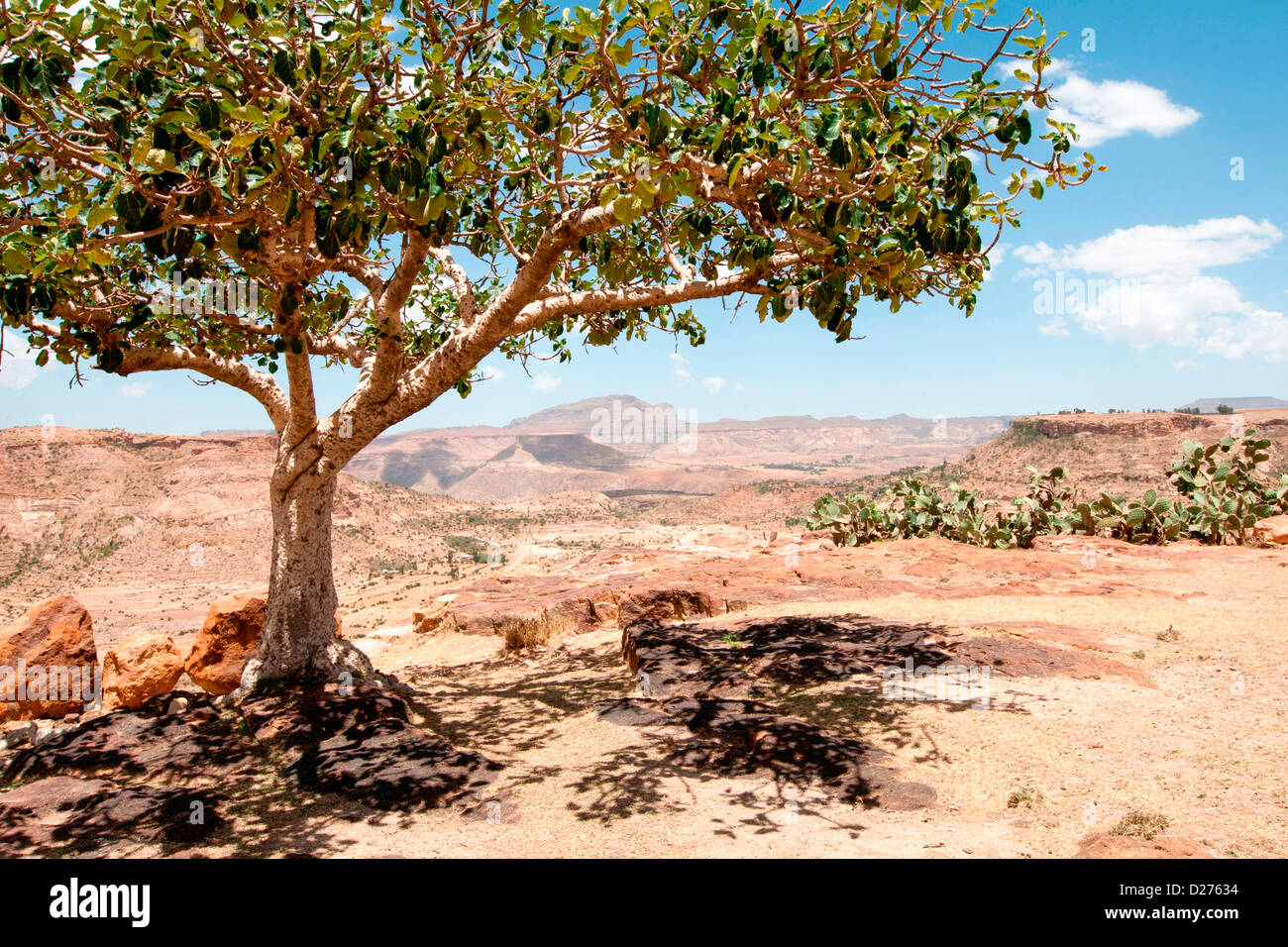 View from Debre Damos Monastery looking toward the Eritrean border ...