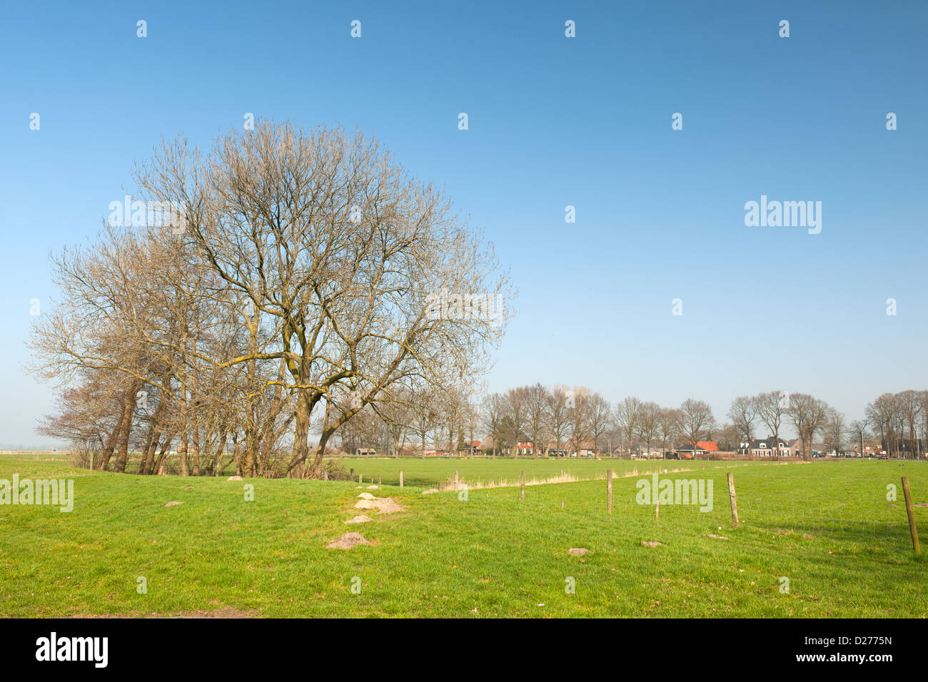 Agricultural landscape with meadows and village in Holland Stock Photo ...