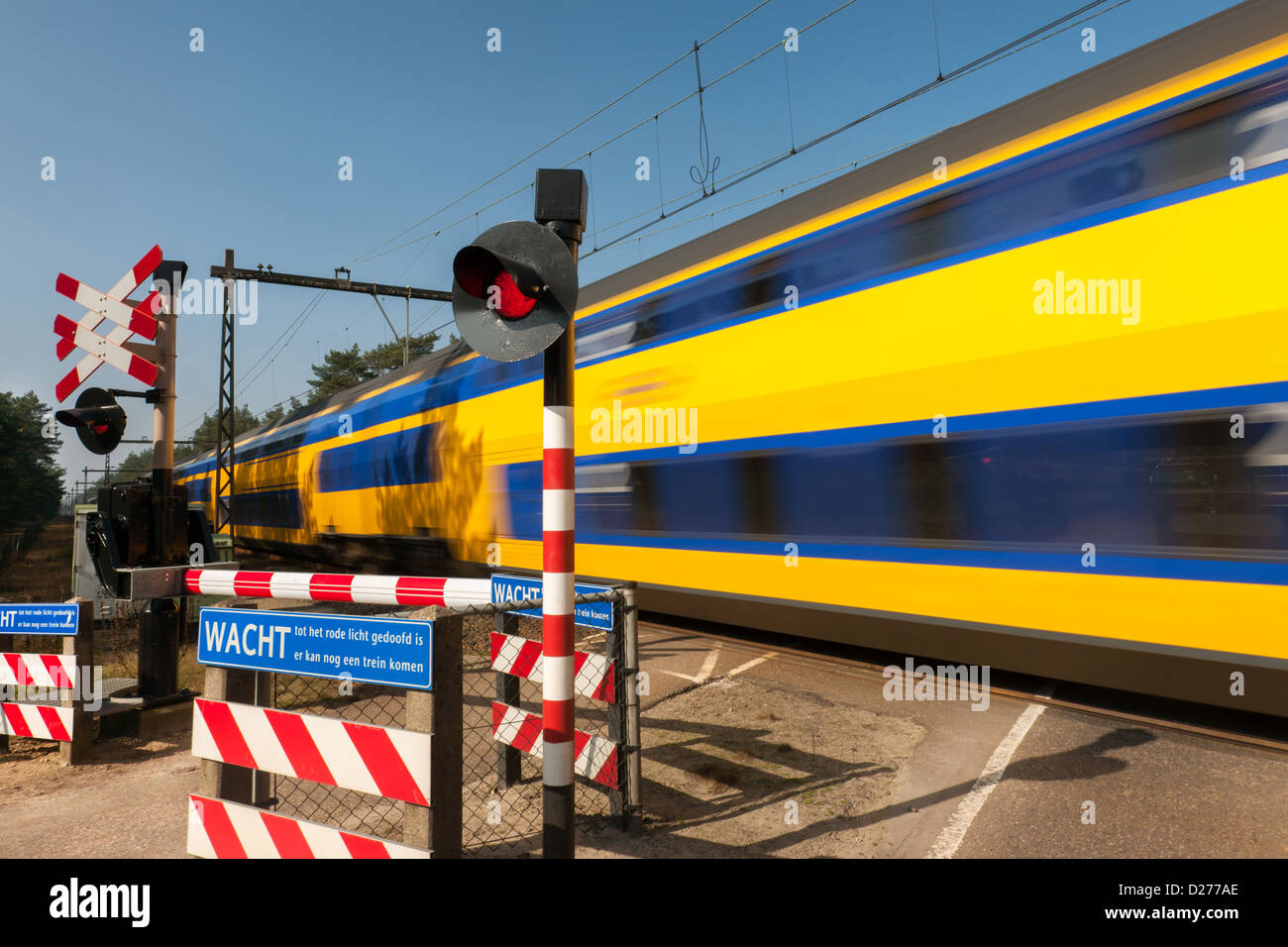 Dutch yellow and blue train is passing by Stock Photo - Alamy