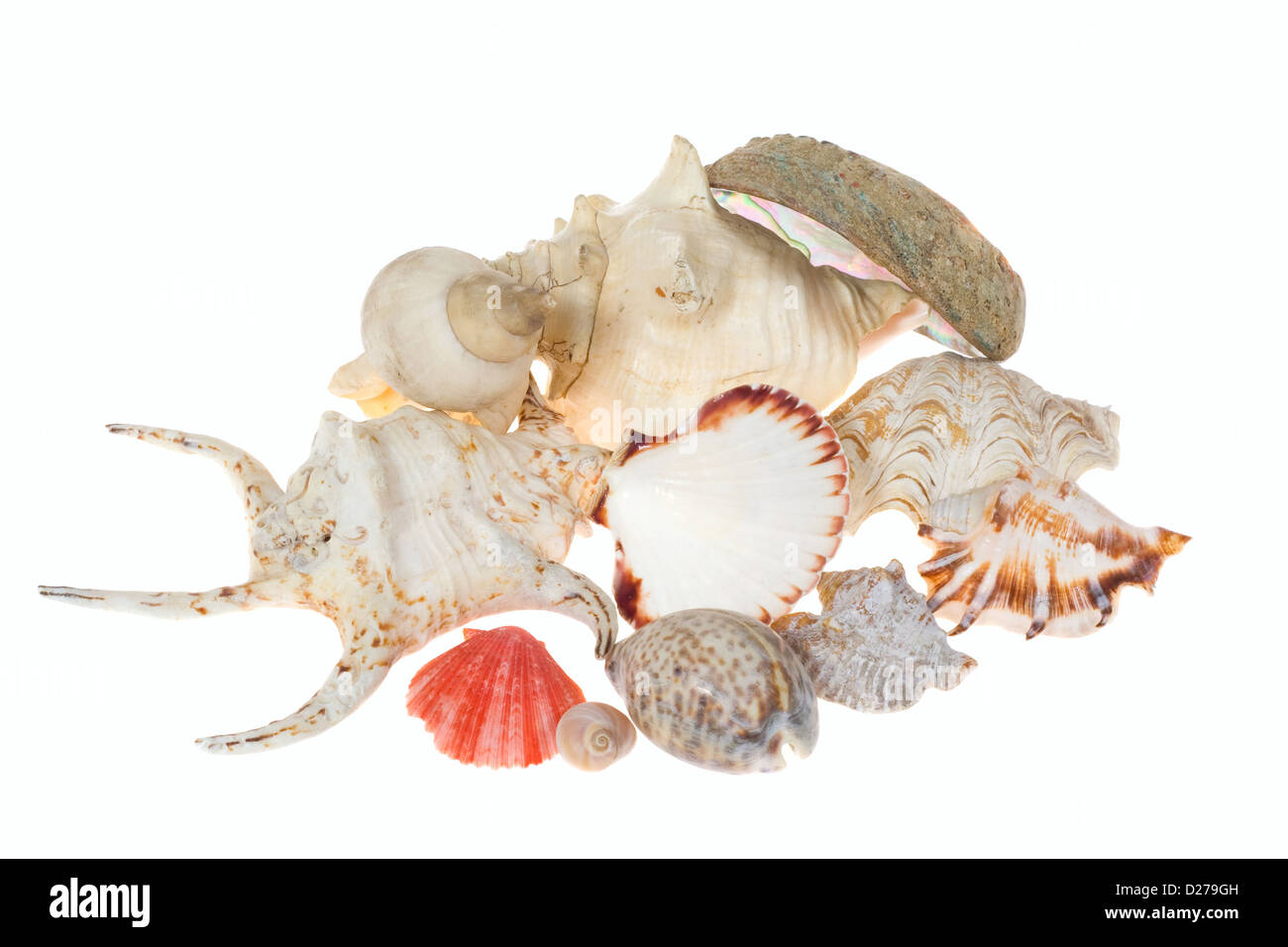 Colorfull collage hi-res stock photography and images - Alamy