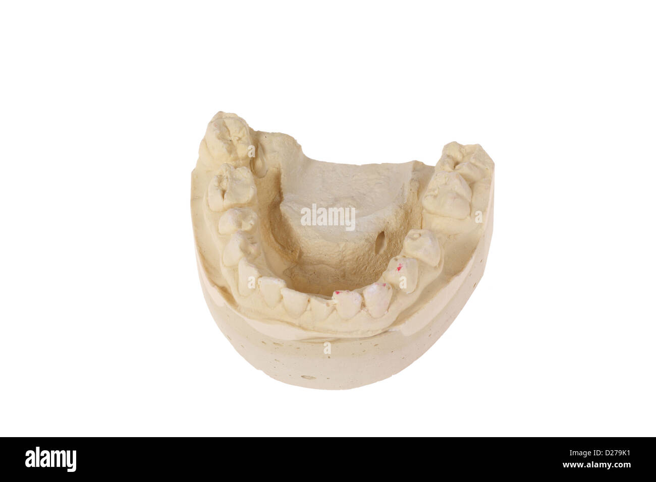 cast of jaw, photo on white background Stock Photo - Alamy