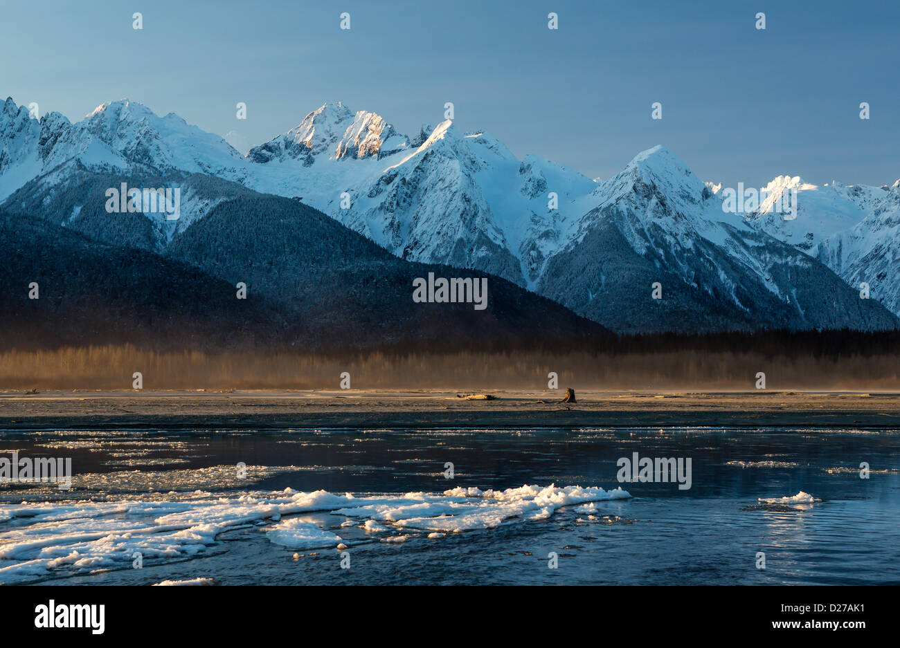 Chilkat bald eagles preserve Stock Photo - Alamy