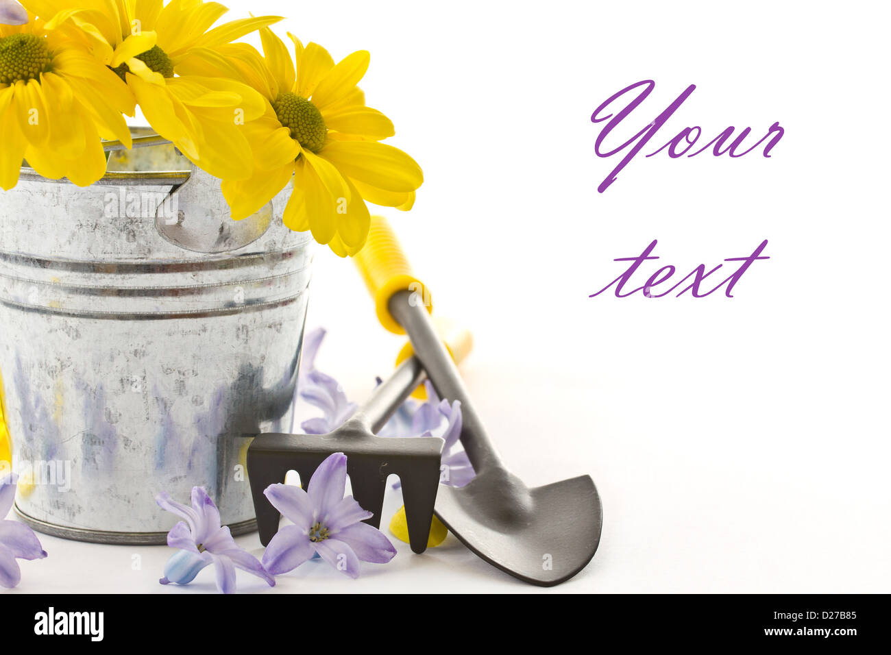 Hyacinth bucket hi-res stock photography and images - Alamy