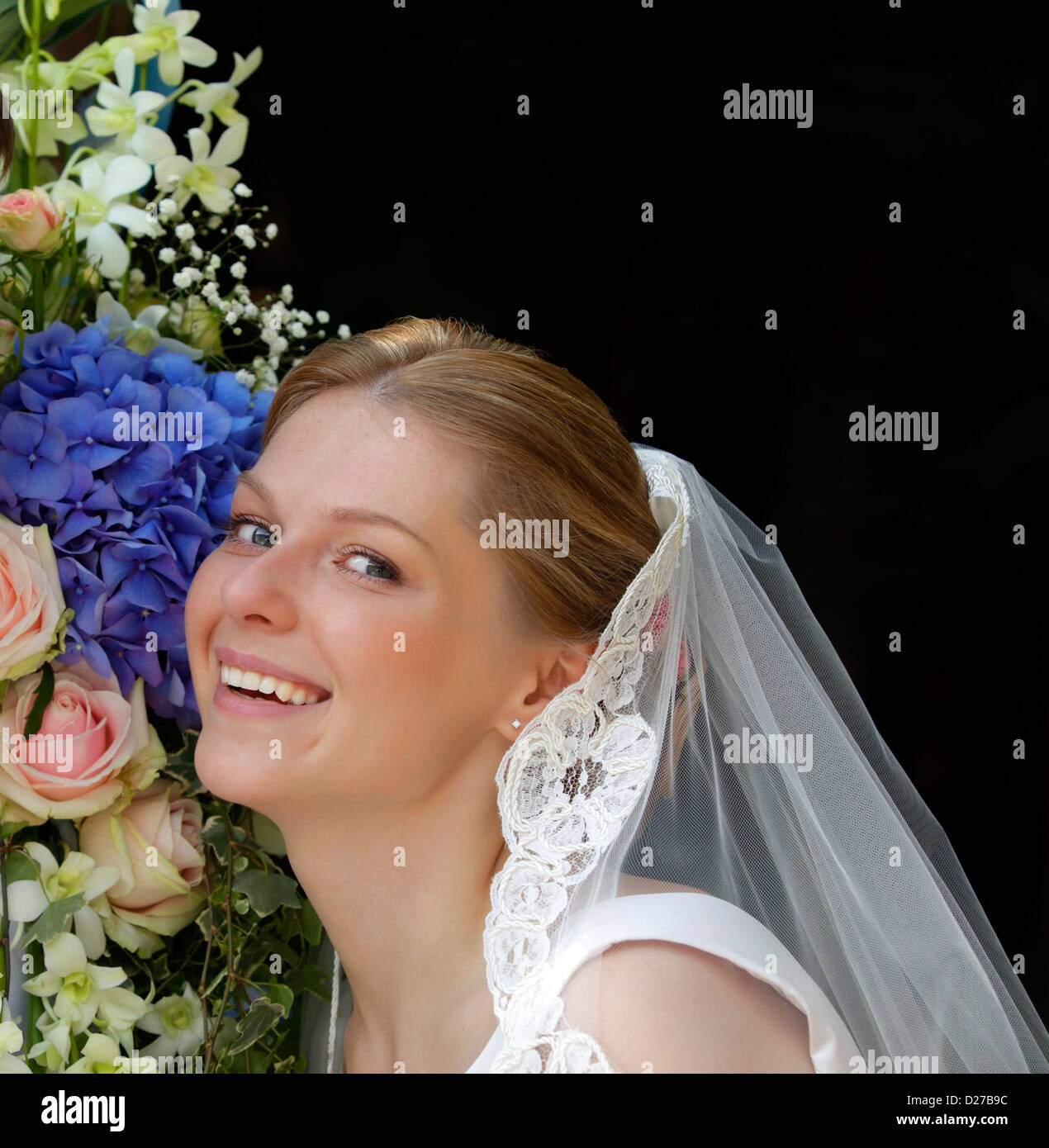 Portrait of the beautiful bride in a veil Stock Photo - Alamy