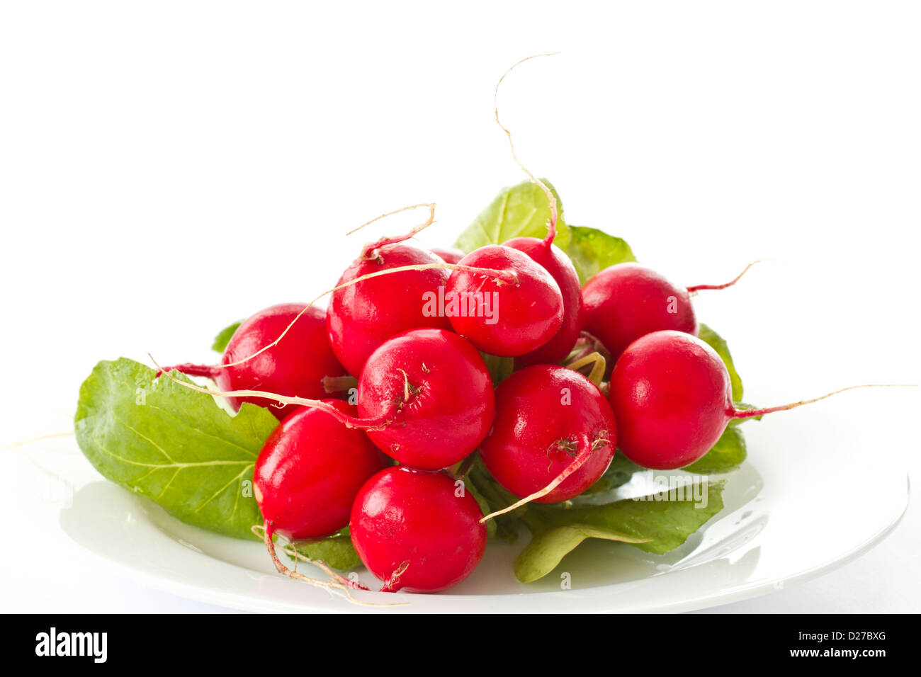 bunch of fresh red radishes on a white background Stock Photo - Alamy