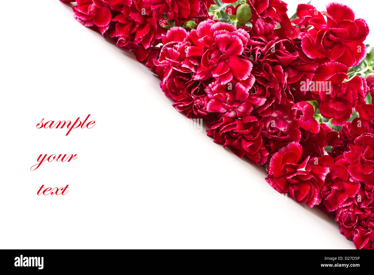 beautiful bright bouquet of carnations on a white background Stock ...