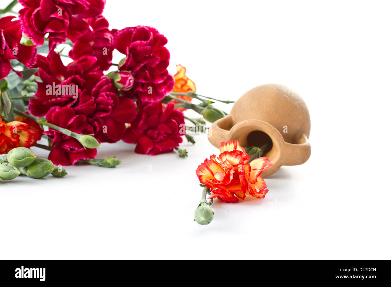 beautiful bright bouquet of carnations on a white background Stock ...