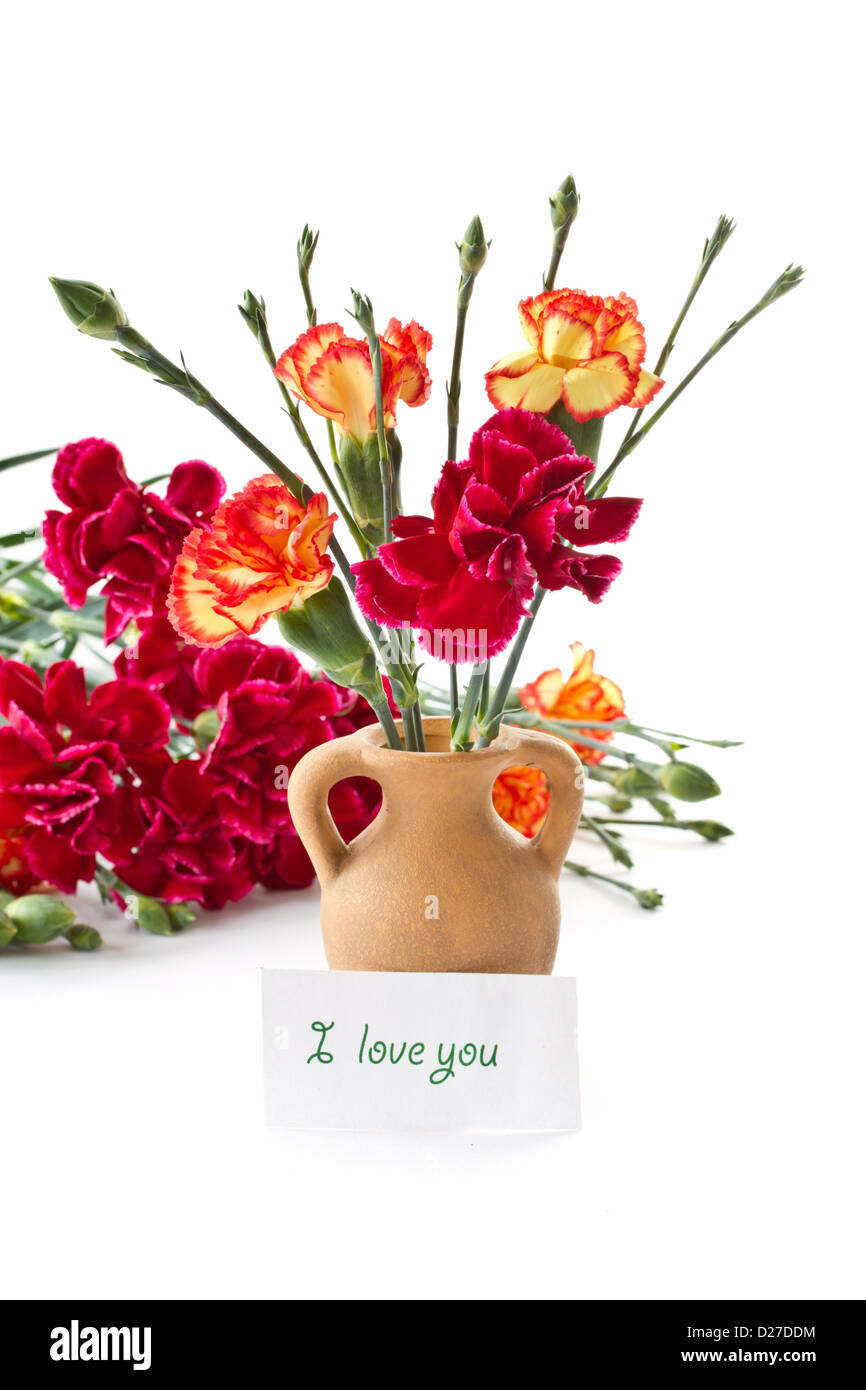 beautiful bright bouquet of carnations on a white background Stock ...