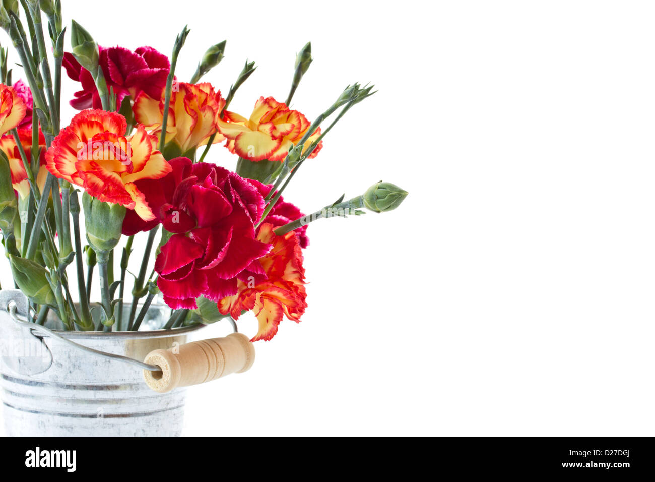 beautiful bright bouquet of carnations on a white background Stock ...