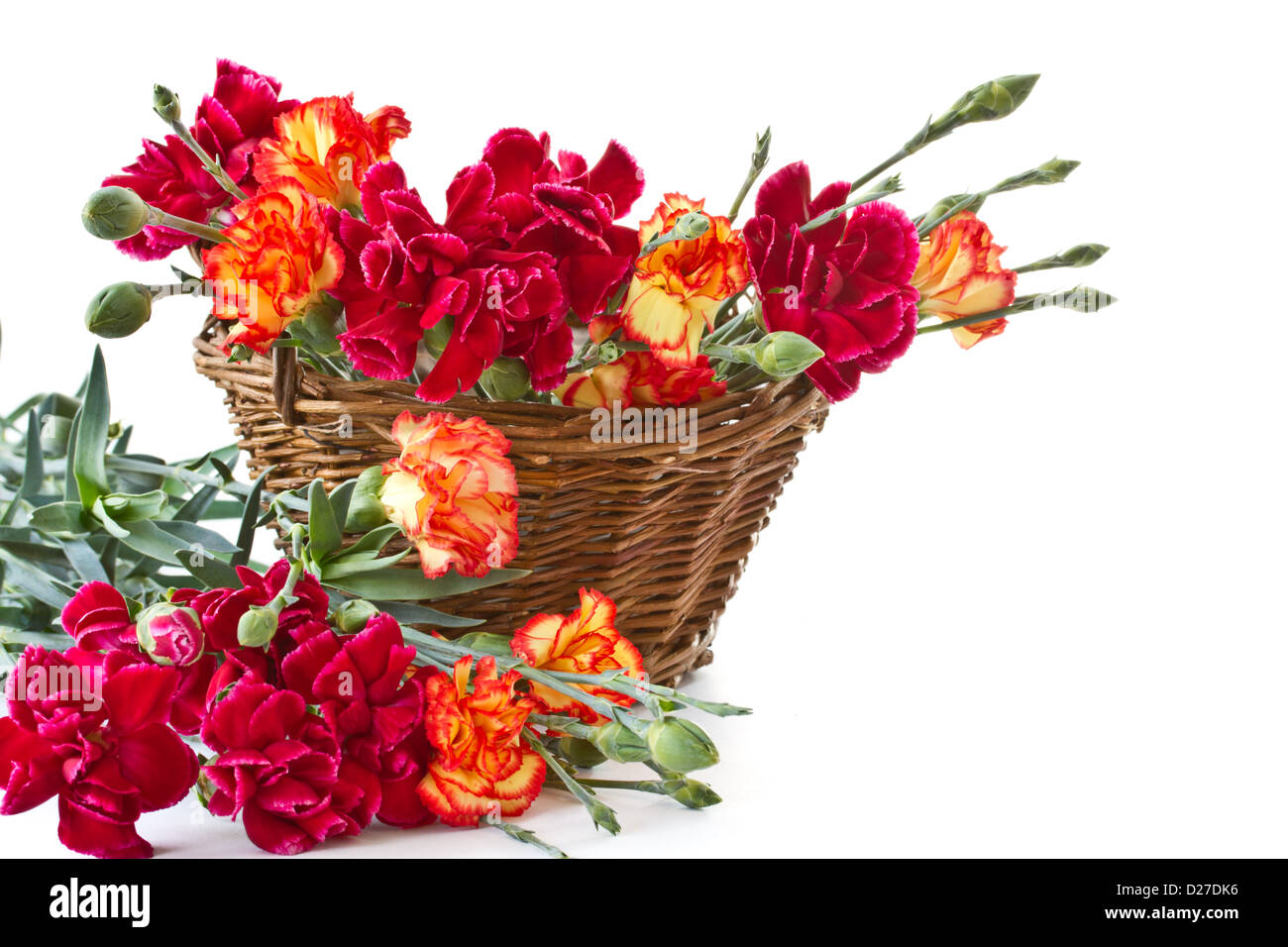 beautiful bright bouquet of carnations on a white background Stock ...