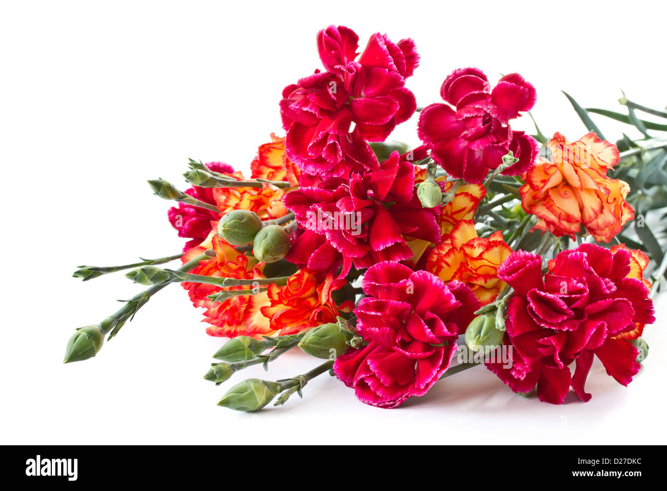 beautiful bright bouquet of carnations on a white background Stock ...