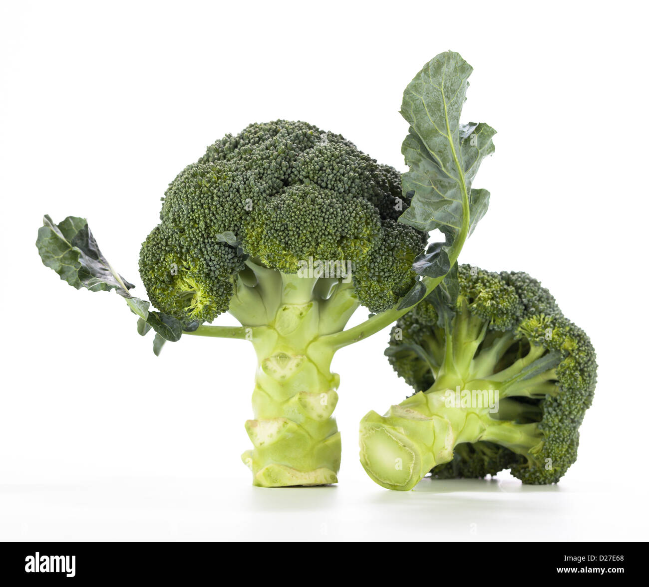 Close-up fresh broccoli isolated on white background Stock Photo - Alamy