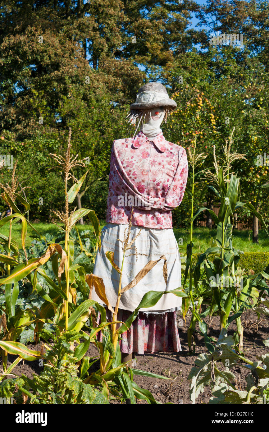 close up of a Lady scarecrow in a vegetable garden, England, UK, GB, EU ...