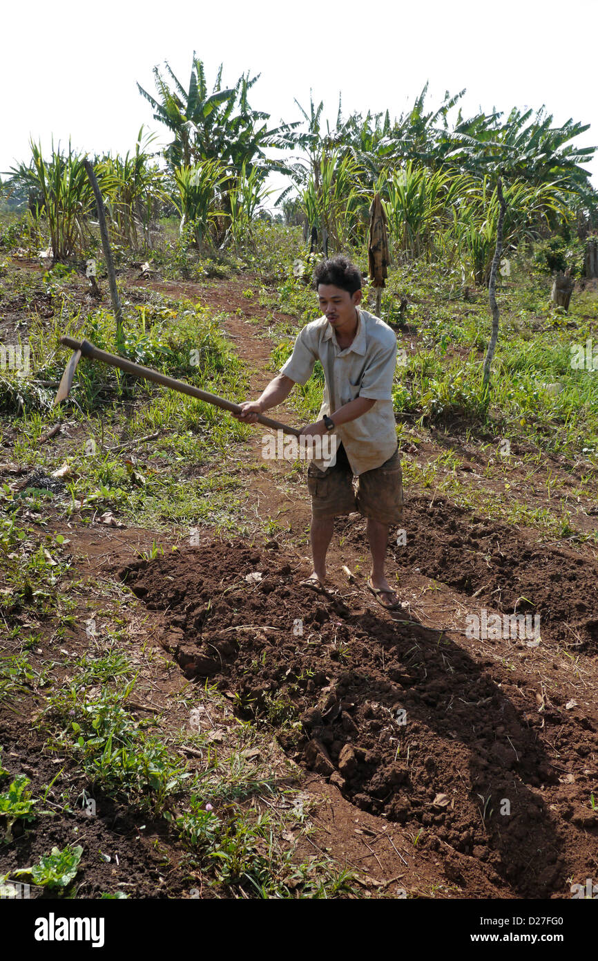 Cambodia - man hoeing garden Stock Photo - Alamy