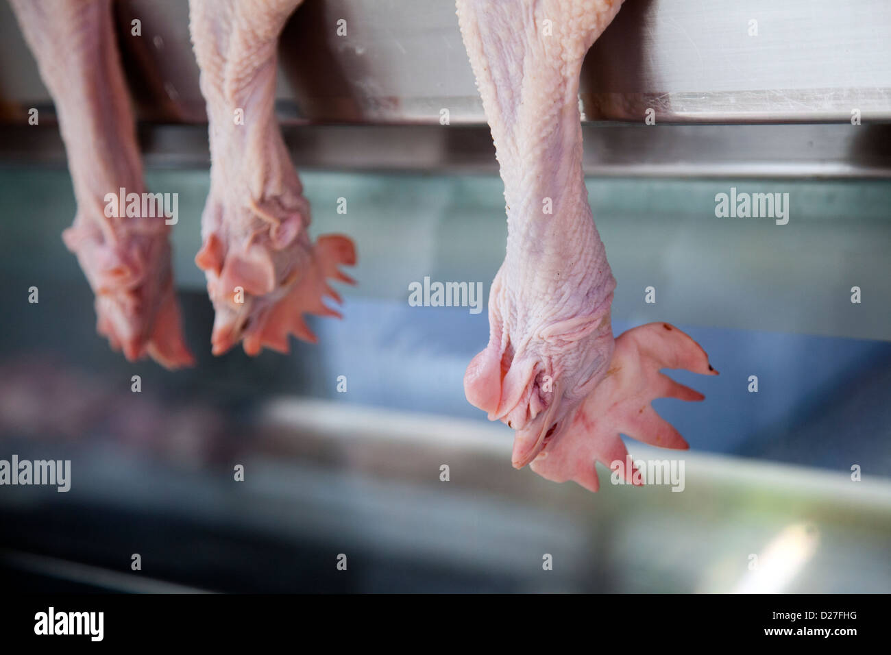 Raw Chicken Heads at Market Butcher in Mexico City DF Stock Photo - Alamy
