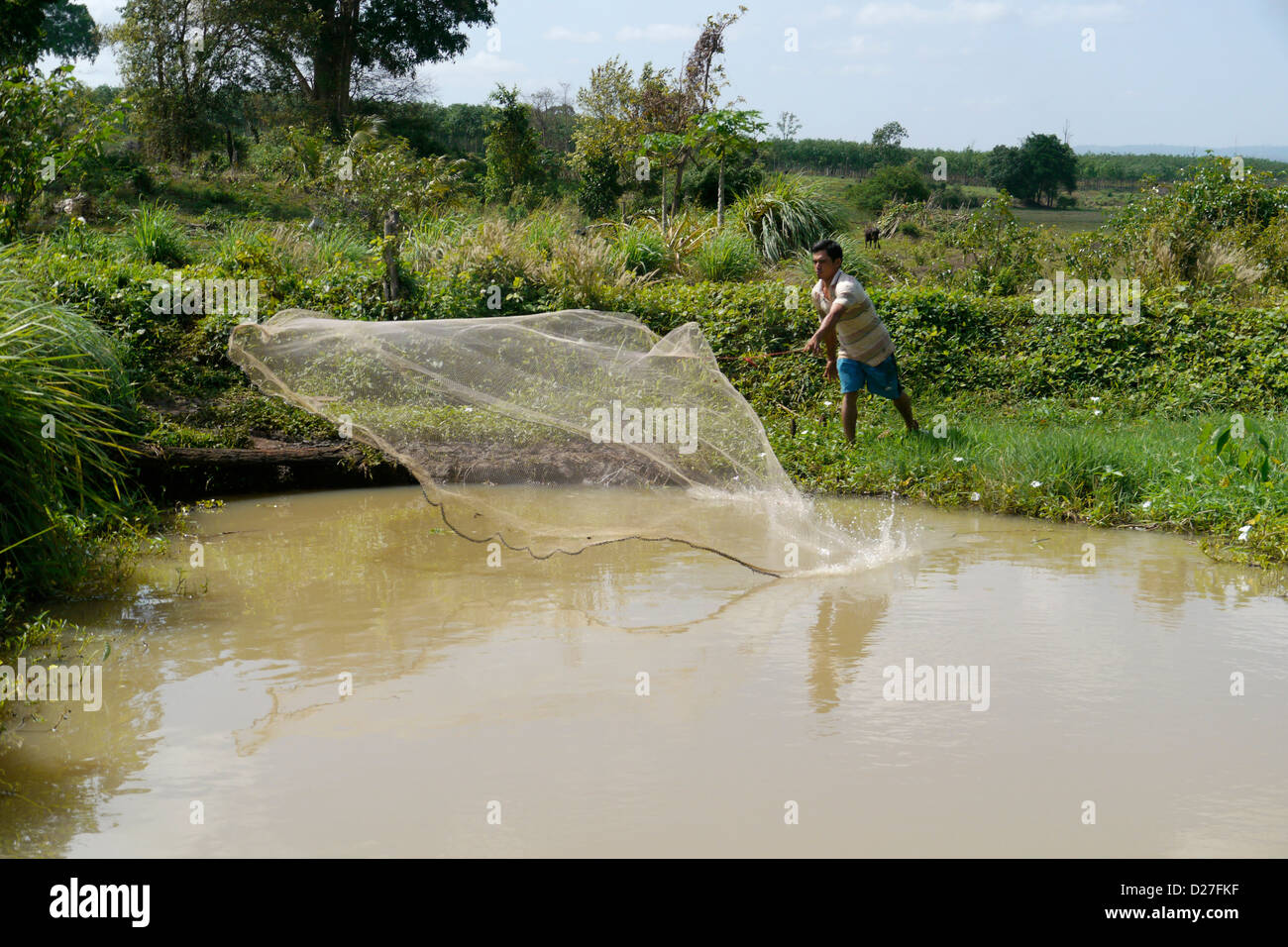 Cambodia - casting net in fish pond Stock Photo - Alamy