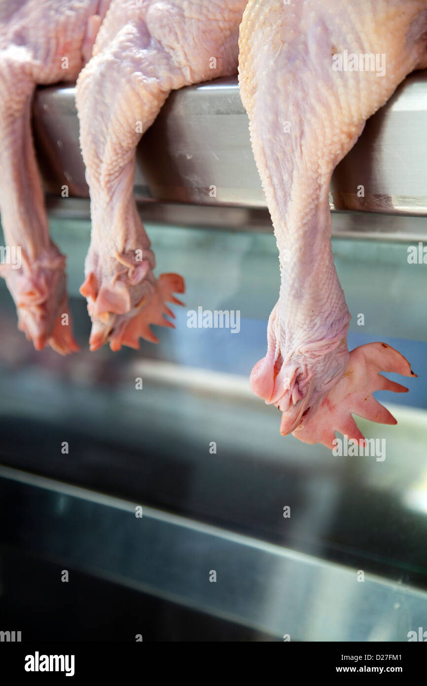 Raw Chicken Heads at Market Butcher in Mexico City DF Stock Photo - Alamy