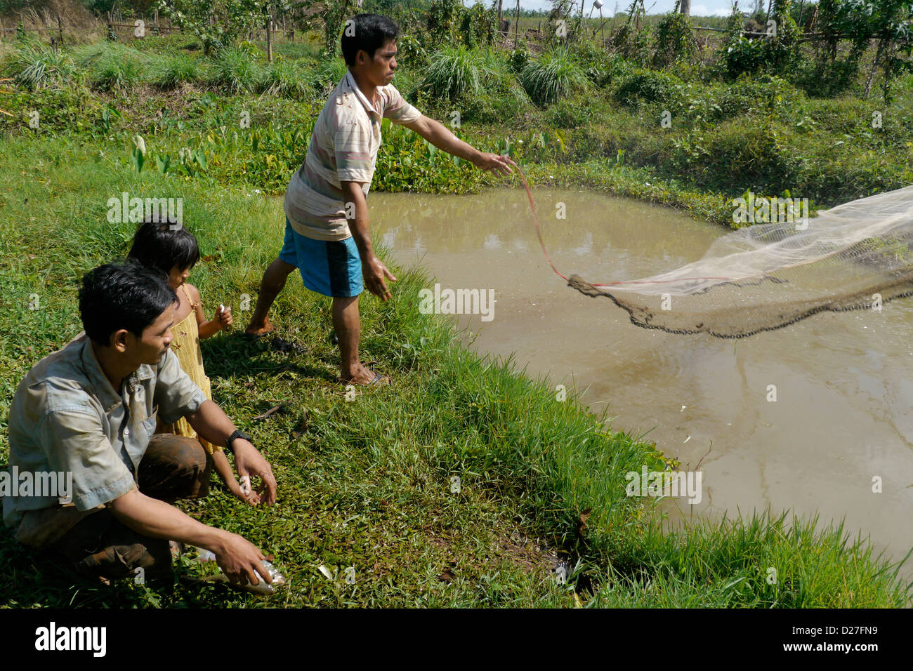 Cambodia - casting net in fish pond Stock Photo - Alamy