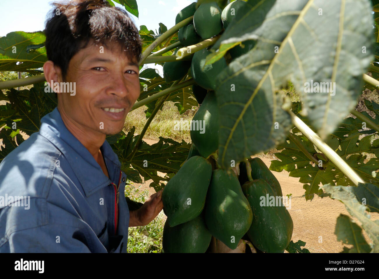 Cambodia - man with papaya Stock Photo - Alamy
