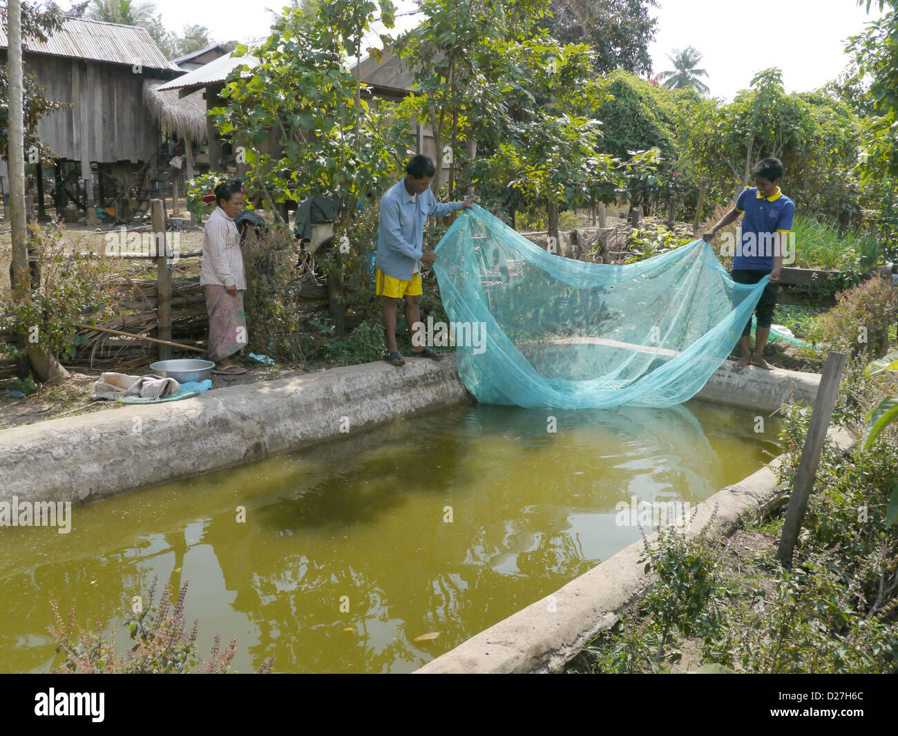 Cambodia Men catching fish from a village pond, Stung Treng Stock Photo ...