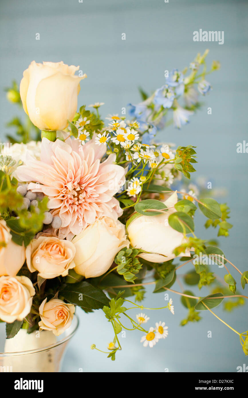 Cream colored flowers hi-res stock photography and images - Alamy