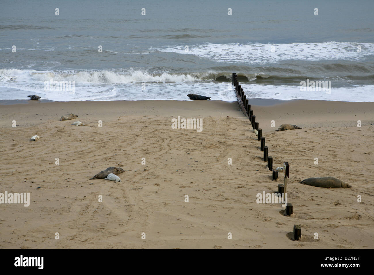 Sea Palling Beach Norfolk High Resolution Stock Photography and Images ...