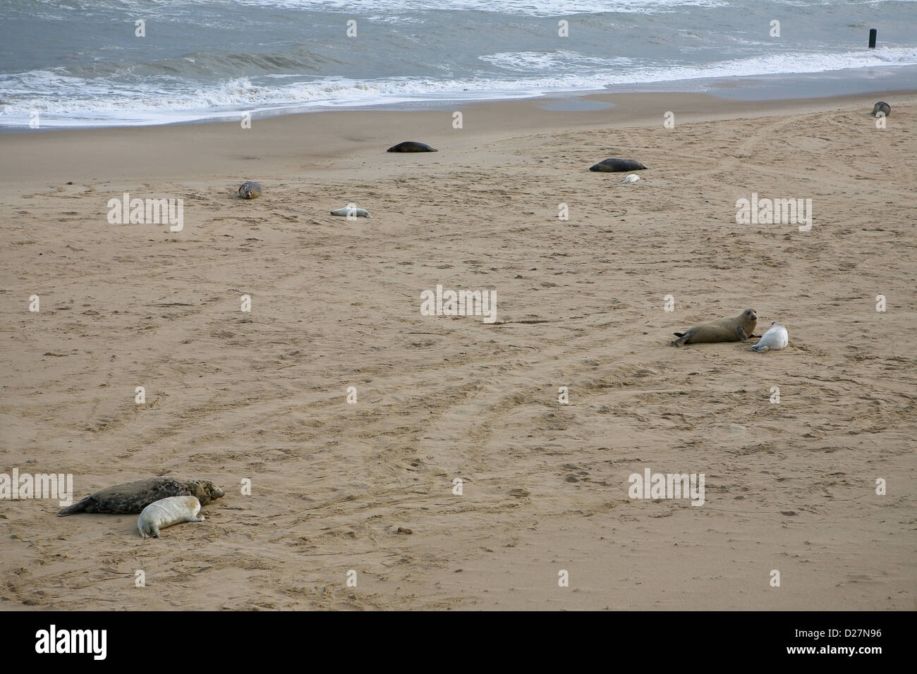 Sea palling norfolk uk hi-res stock photography and images - Alamy