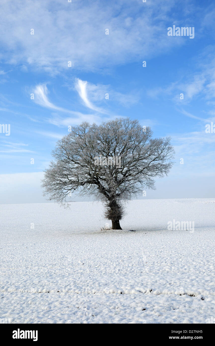 Annesley, Notts, UK. 16th January 2013. Winter landscape across rural ...