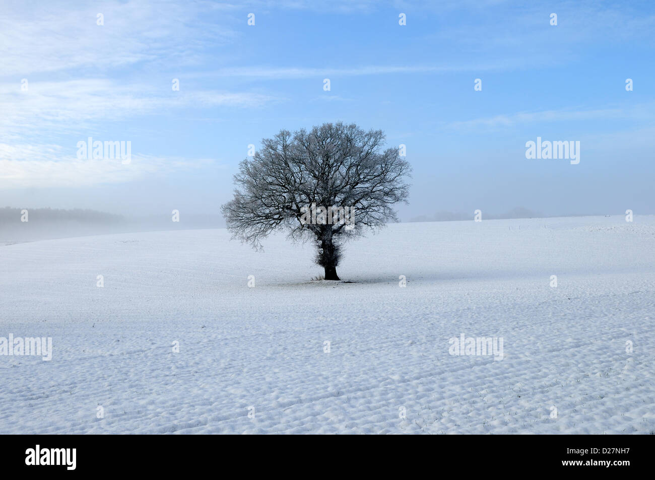 Lord annesley hi-res stock photography and images - Alamy