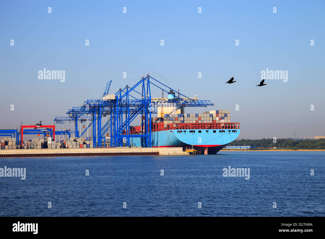 Huge Container Ship during loading in port terminal at Gdansk, Poland ...