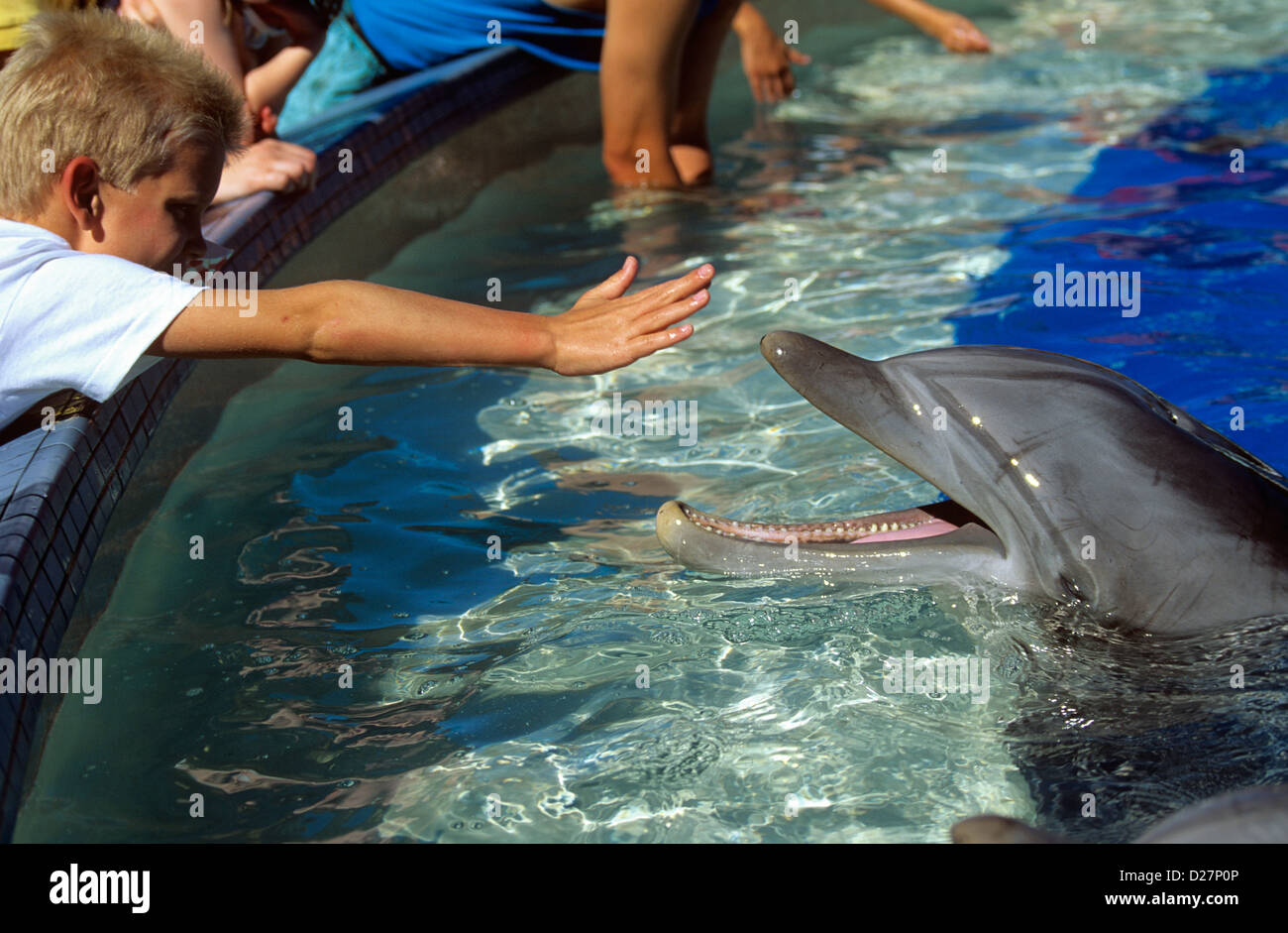 Dolphin petting pool at Sea World of California, Sand Diego, California ...