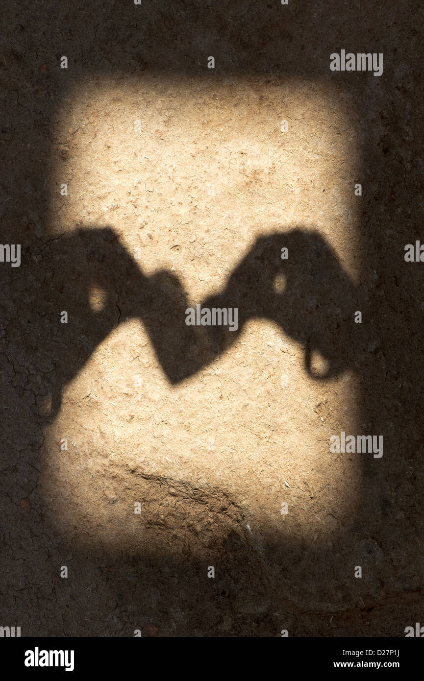 Shadow of Indian girls hands holding heart shape on textured ground in ...