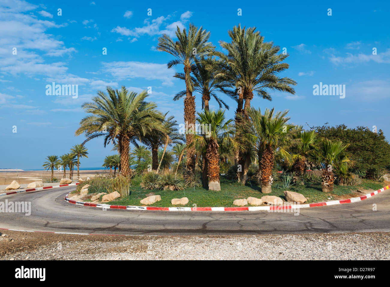 palm trees in tropical garden road in Israel Stock Photo - Alamy