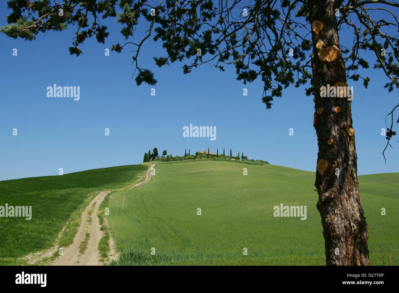 Landscape, Hills in, Tuscany, Italy Stock Photo - Alamy