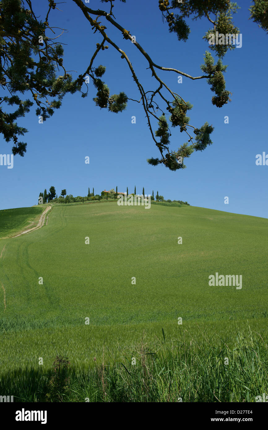 Landscape, Hills in, Tuscany, Italy Stock Photo - Alamy