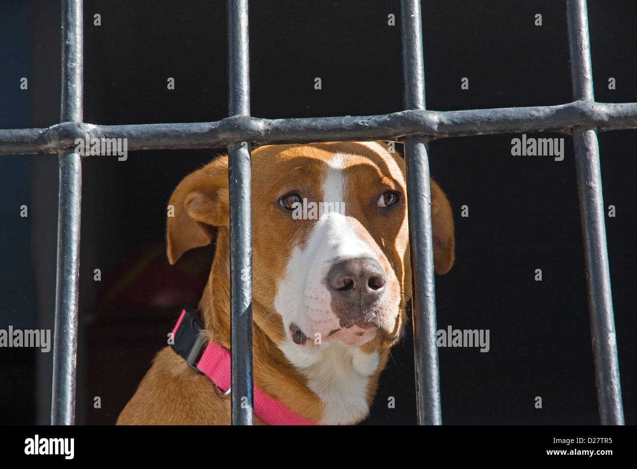Barred window hi-res stock photography and images - Alamy