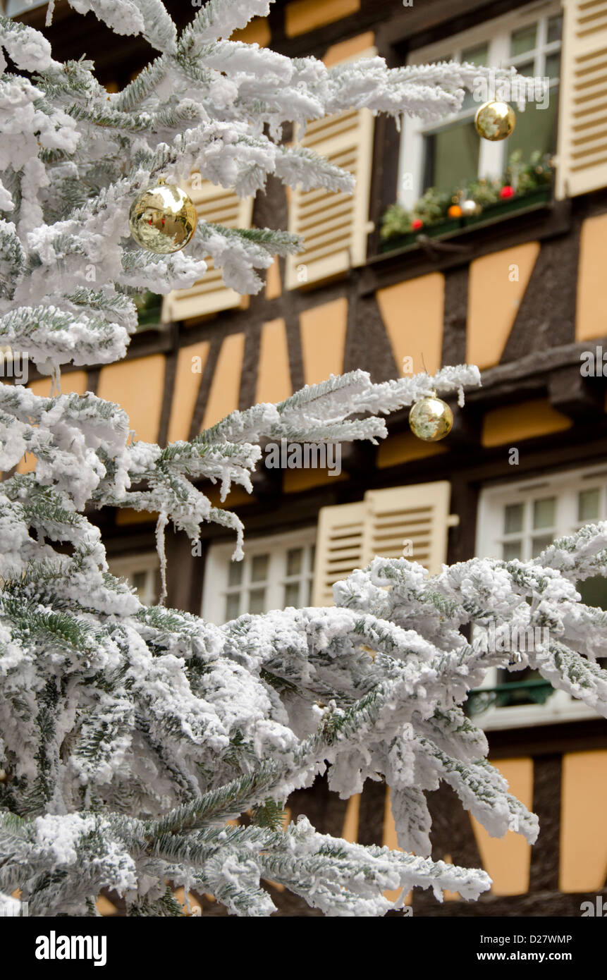 France, Alsace, Colmar. Christmas tree in front of typical historic ...