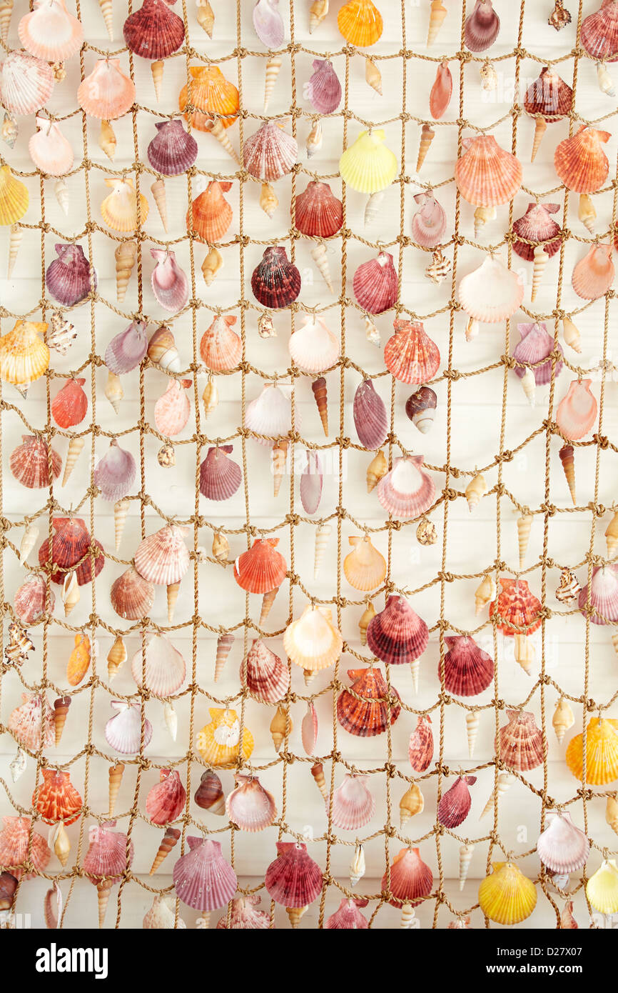 Clam shell hi-res stock photography and images - Alamy