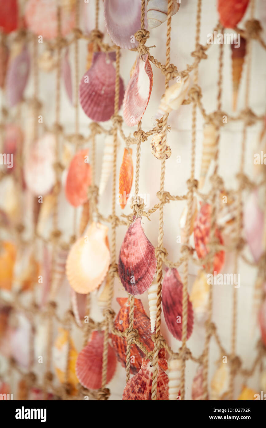 Abstract detail of clam shells on net rope Stock Photo - Alamy