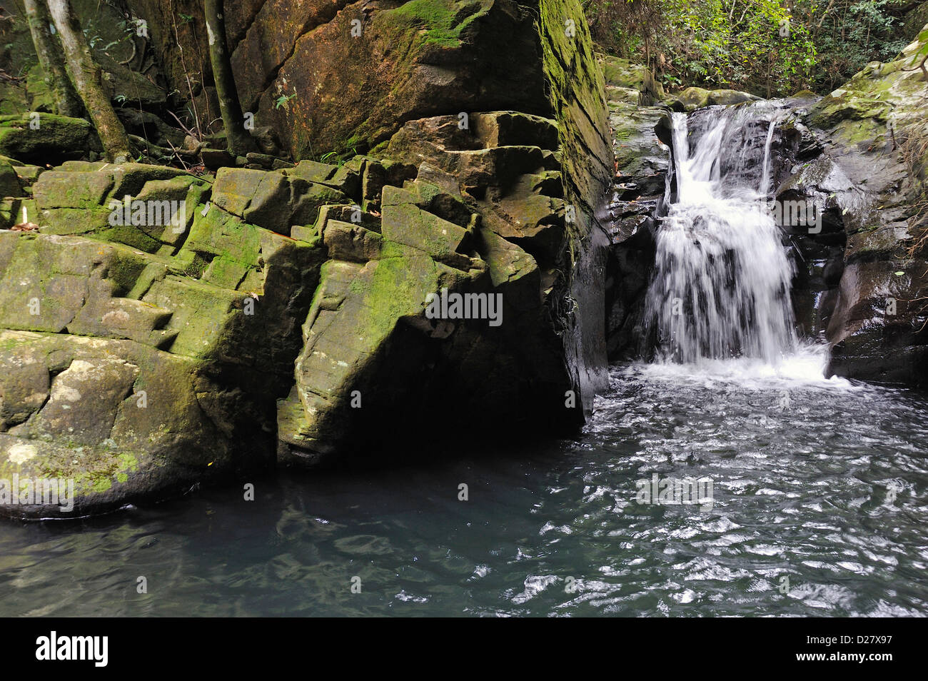 Bach Ma National Park, Vietnam Stock Photo - Alamy