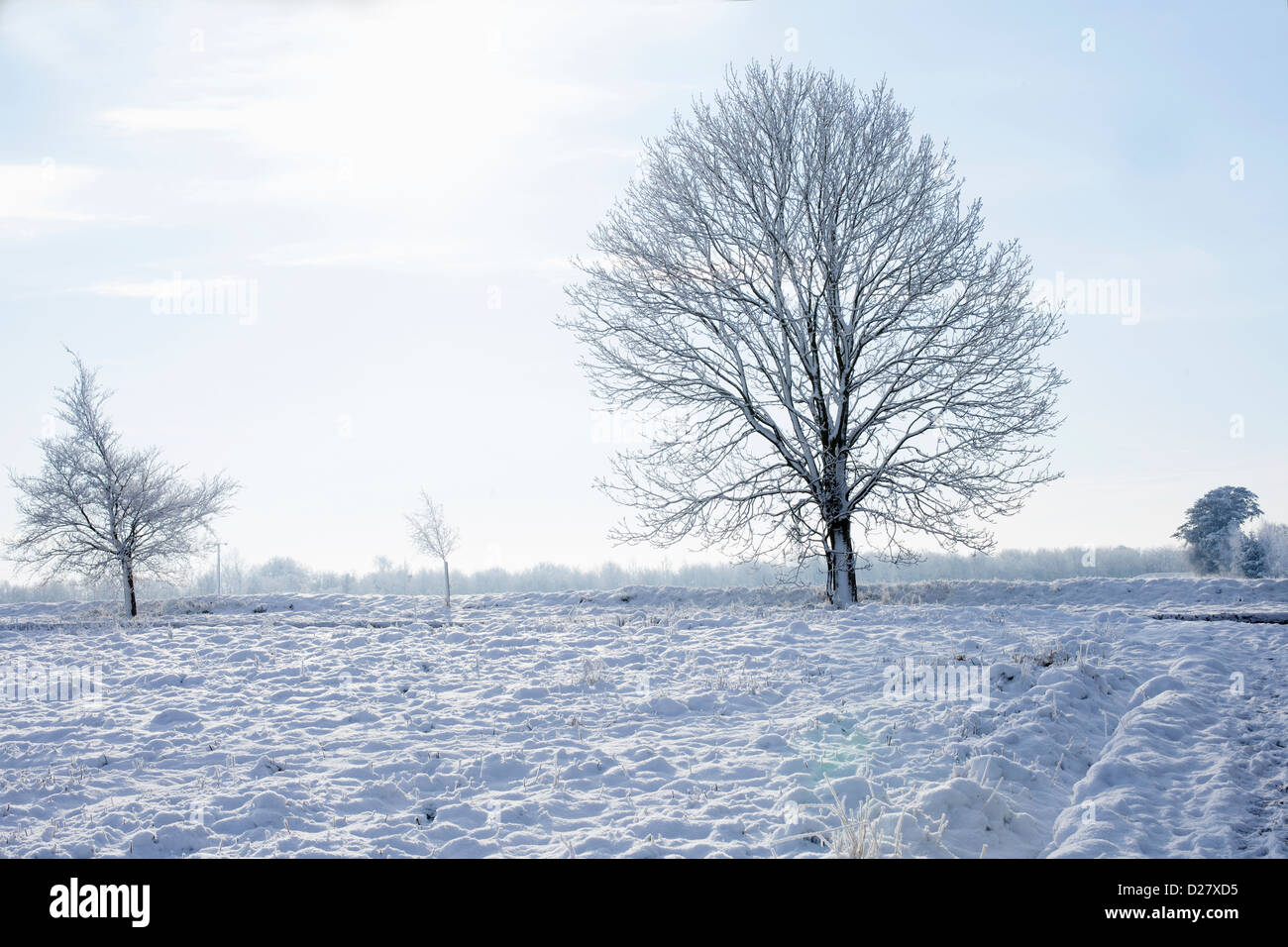 snow scene in Norfolk Stock Photo - Alamy